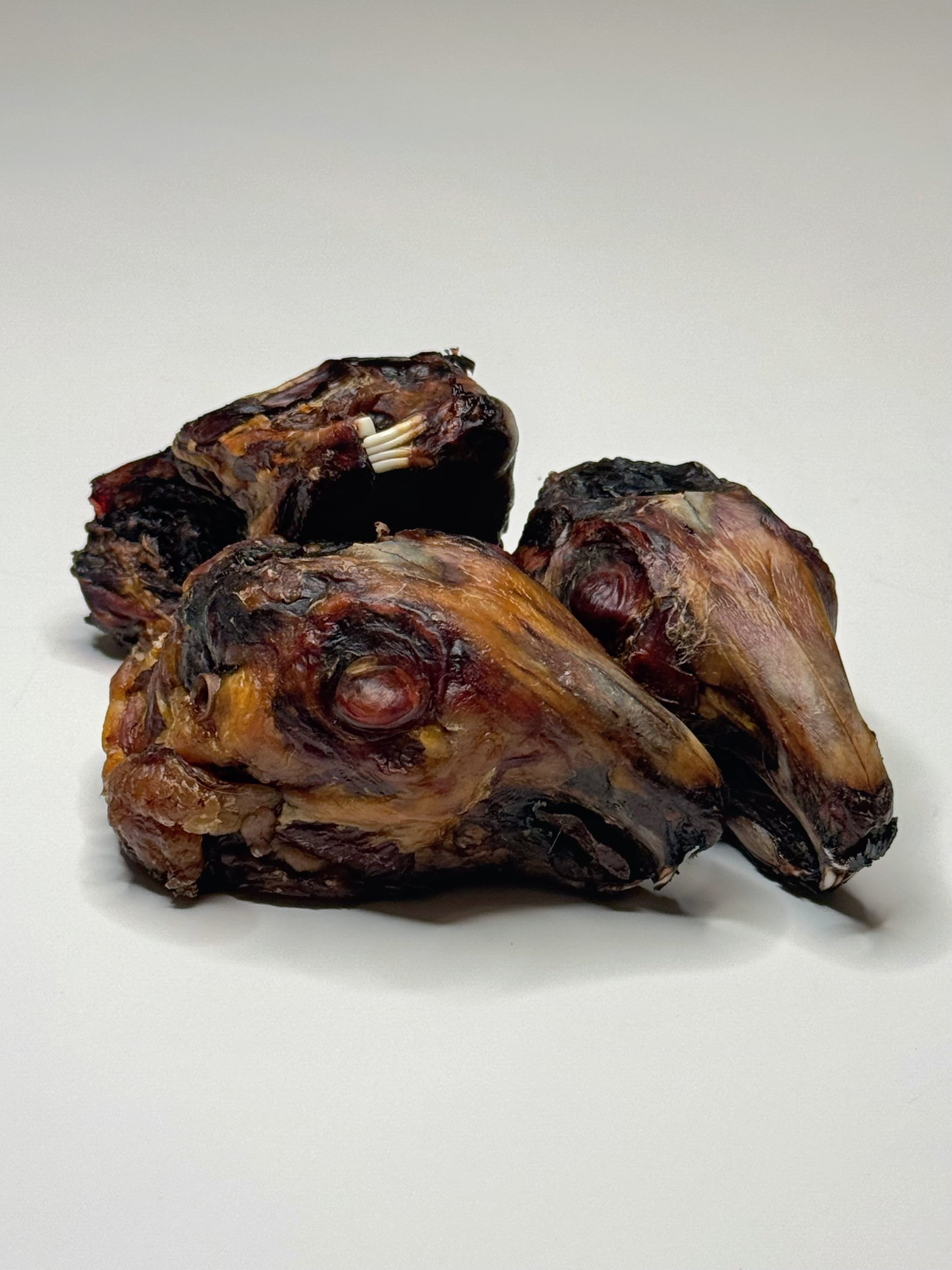 Dehydrated Skinned Rabbit Head – savagecarnivoreraw